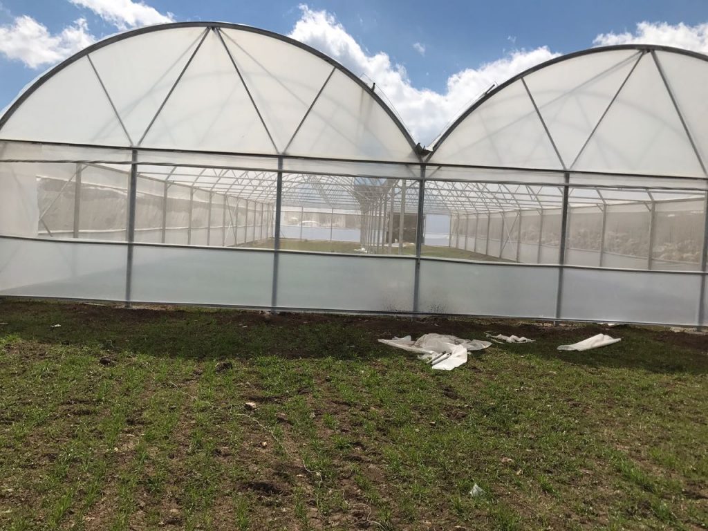 SERA SİSTEMLERİ - Modern Sera