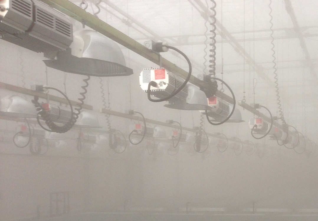 SERA SİSTEMLERİ - Modern Sera