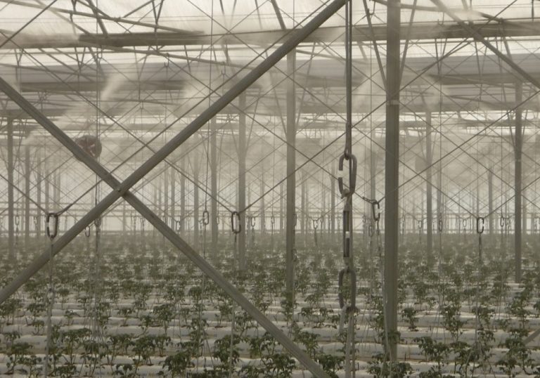 SERA SİSTEMLERİ - Modern Sera