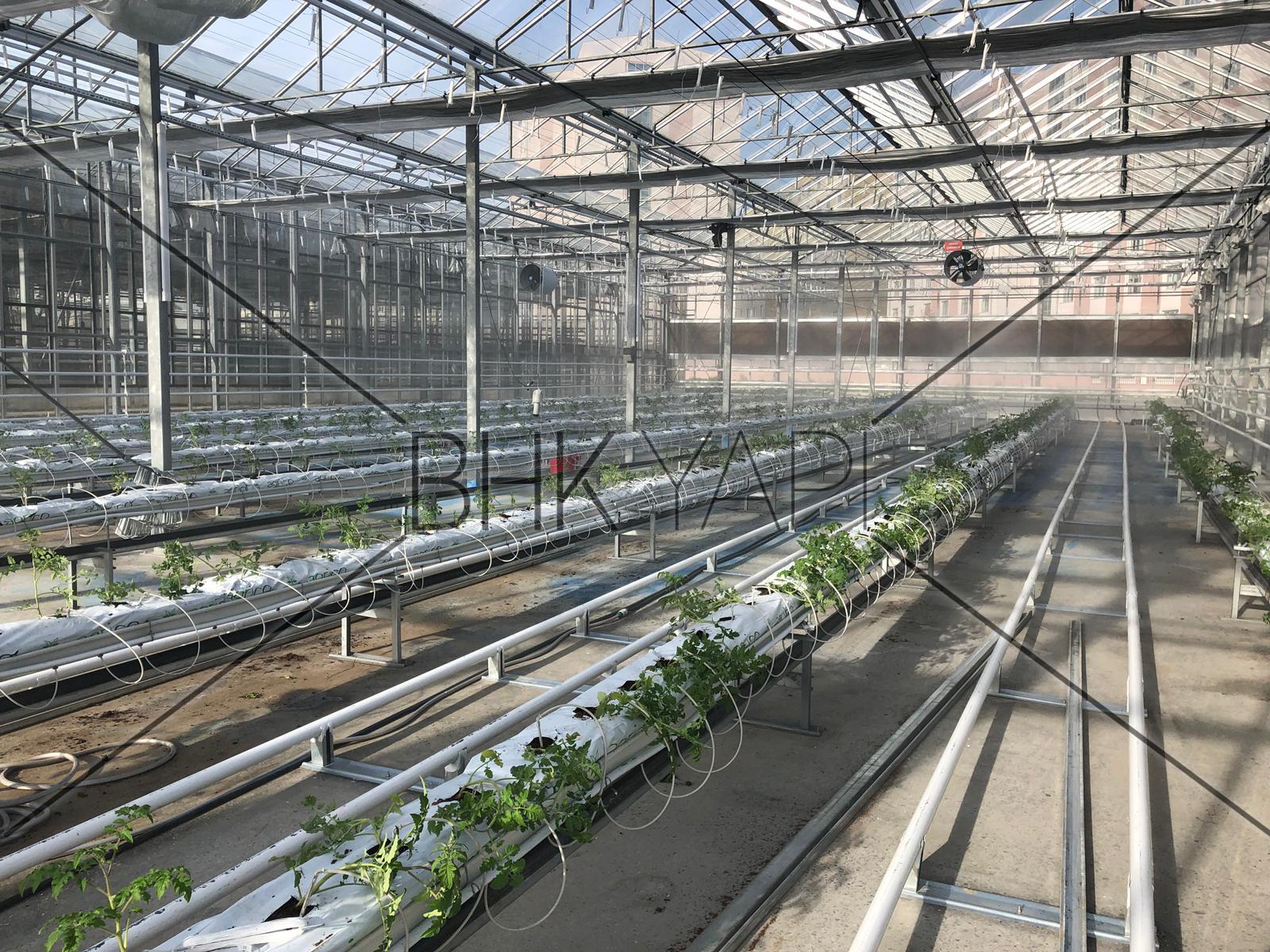 Cam Sera - Modern Sera