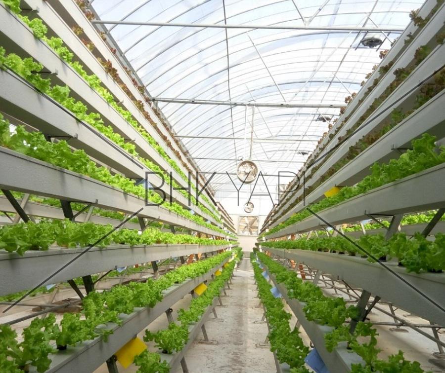 Yeni Tarım Teknolojileri ile Seracılık - Modern Sera