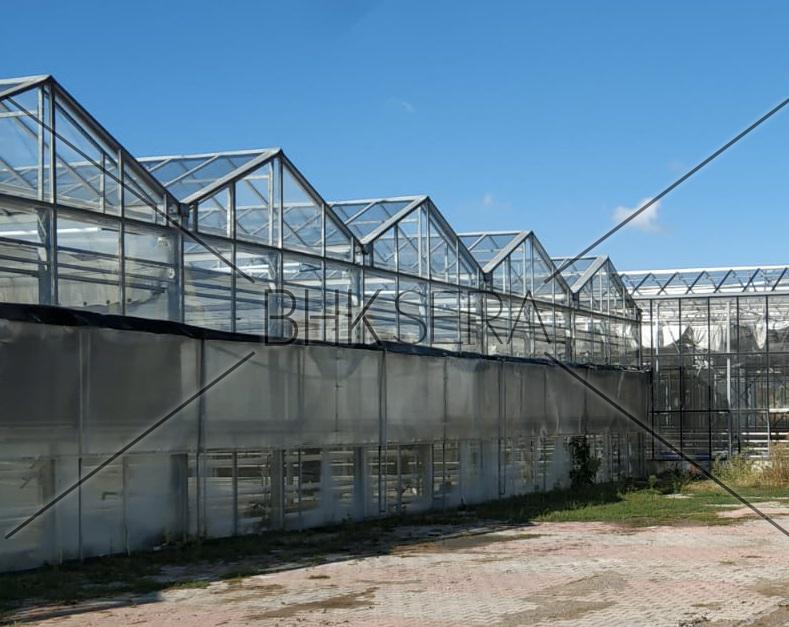 Cam Sera - Modern Sera