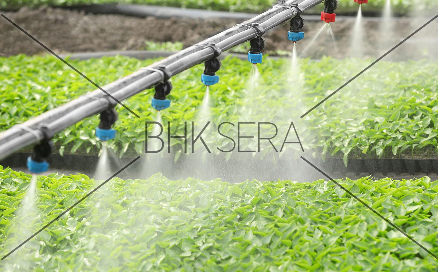 Yeni Nesil Sera Sulama Sistemleri - Modern Sera